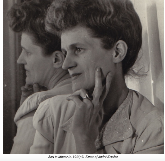 A New Book and a Museum Show for Sari Dienes